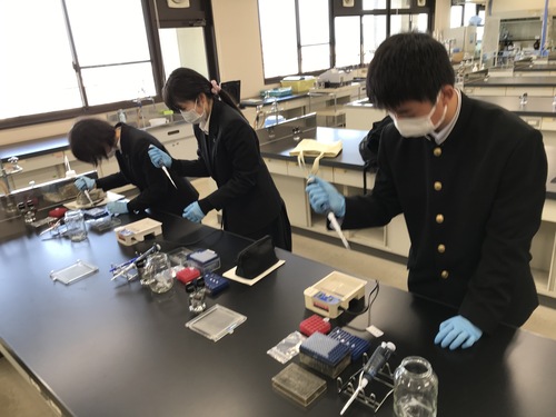 徳島市立高等学校 | Jr.Student.Lab（徳島大学歯学部・生物資源環境学部）