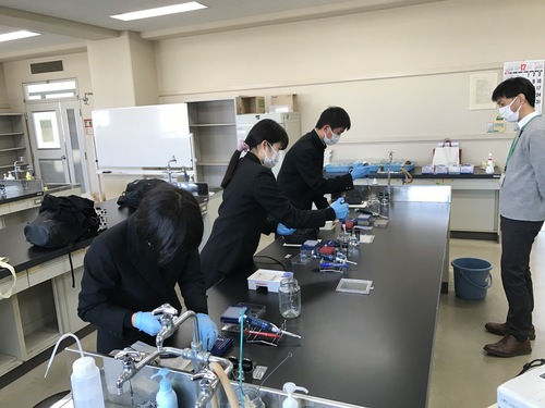 徳島市立高等学校 | Jr.Student.Lab（徳島大学歯学部・生物資源環境学部）
